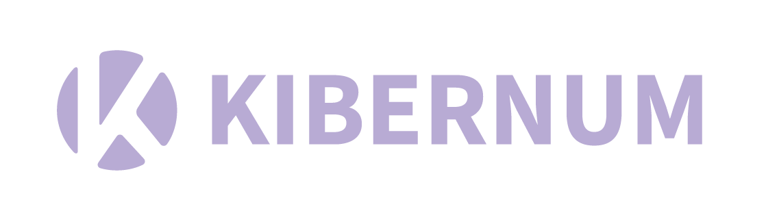 AIG en acción - Kibernum